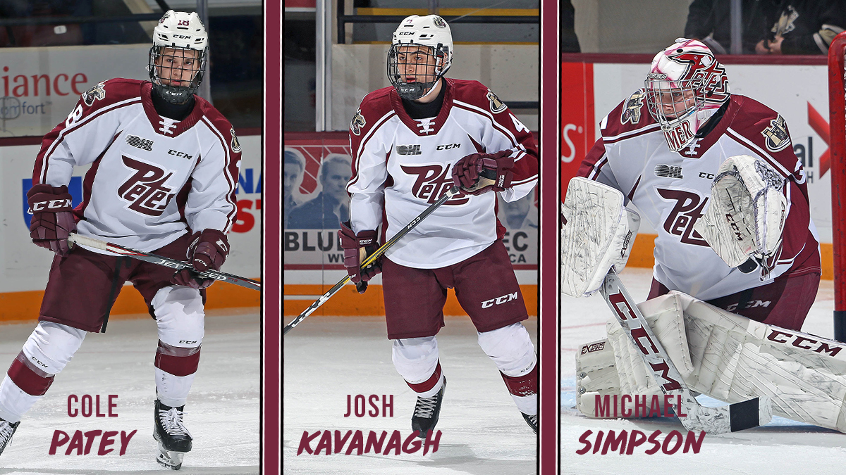 Petes get set to welcome new members to the family - Peterborough Petes