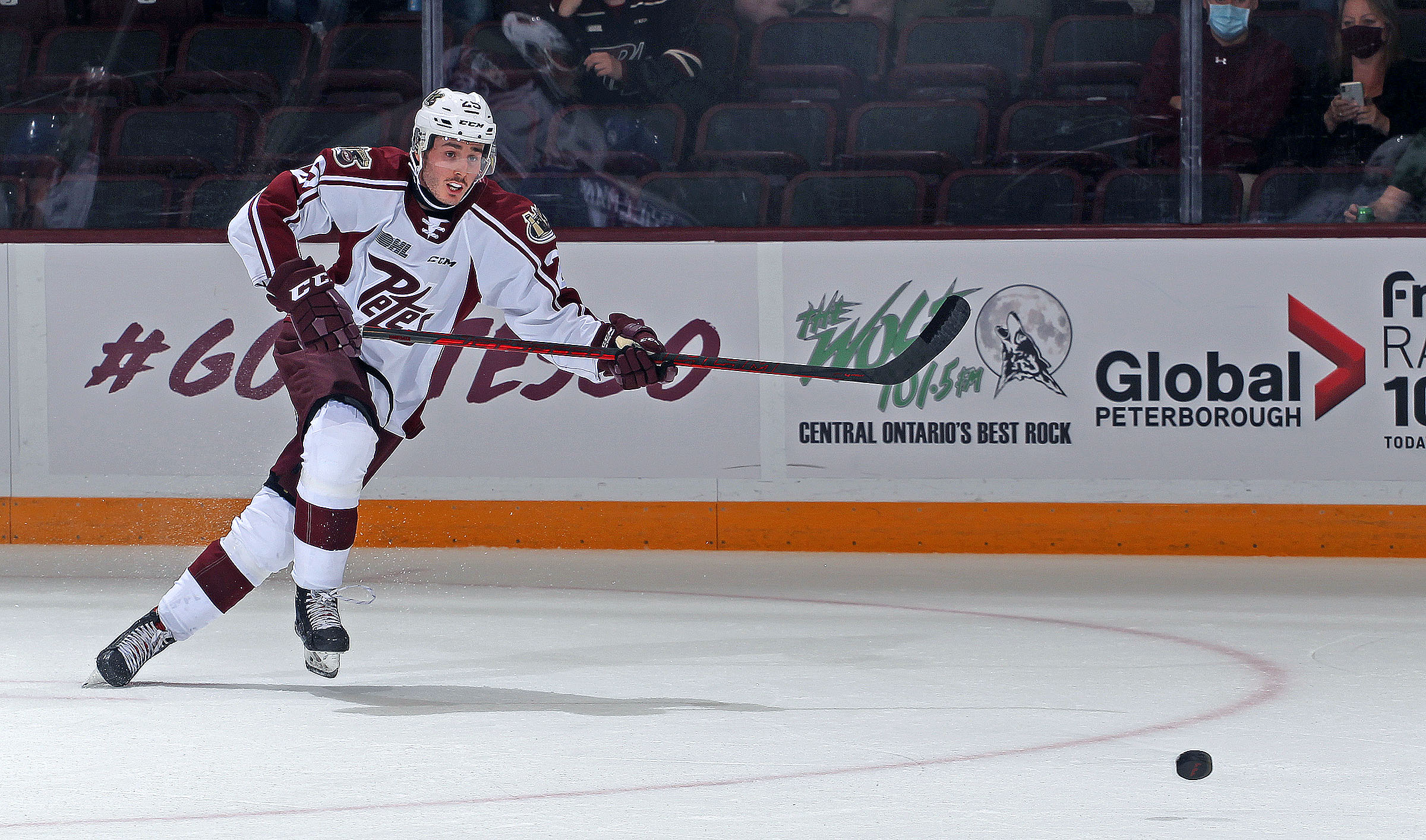 Picking up points, night after night: Emmett Sproule - Peterborough Petes