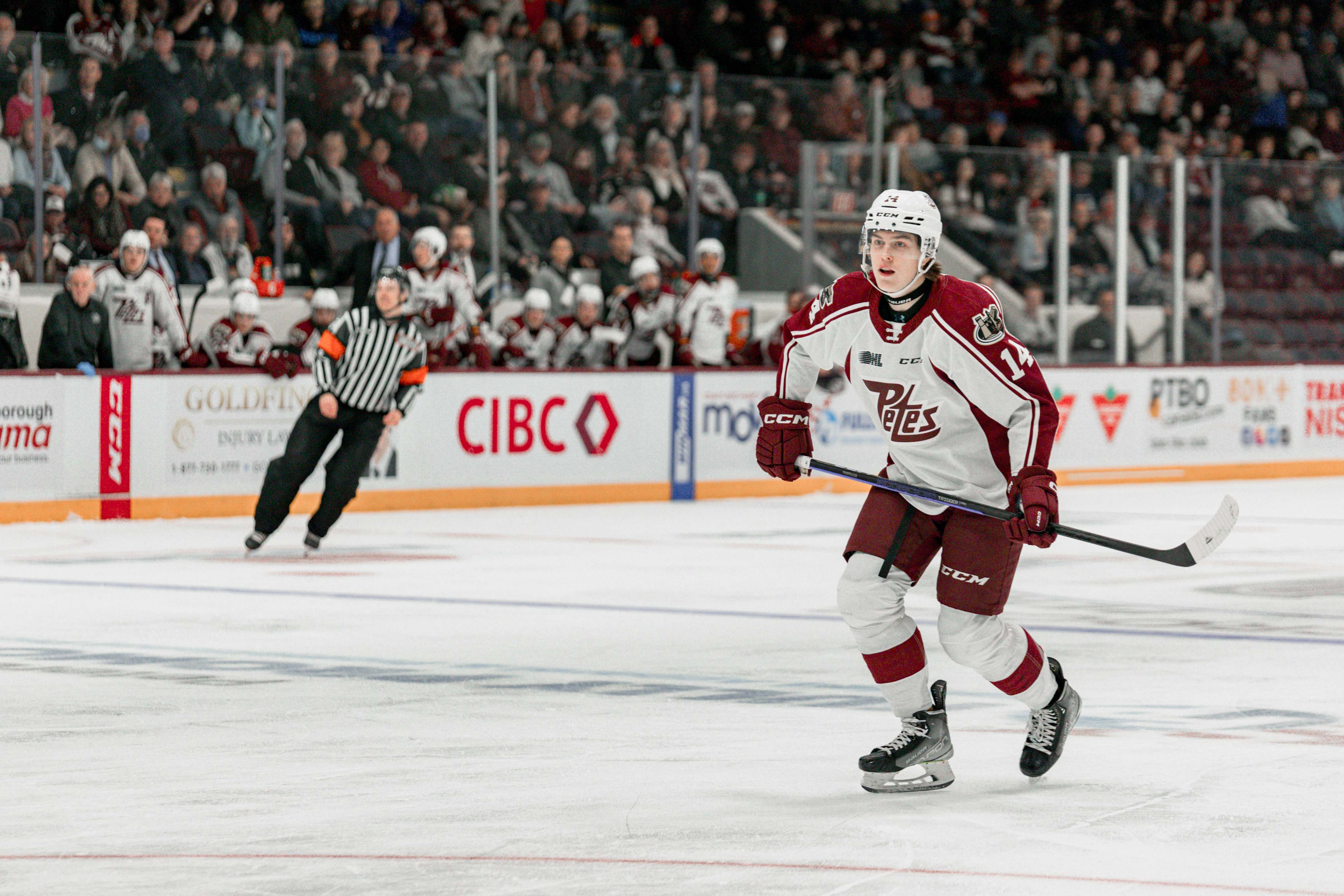 Rookie Spotlight: Jack Van Volsen - Peterborough Petes