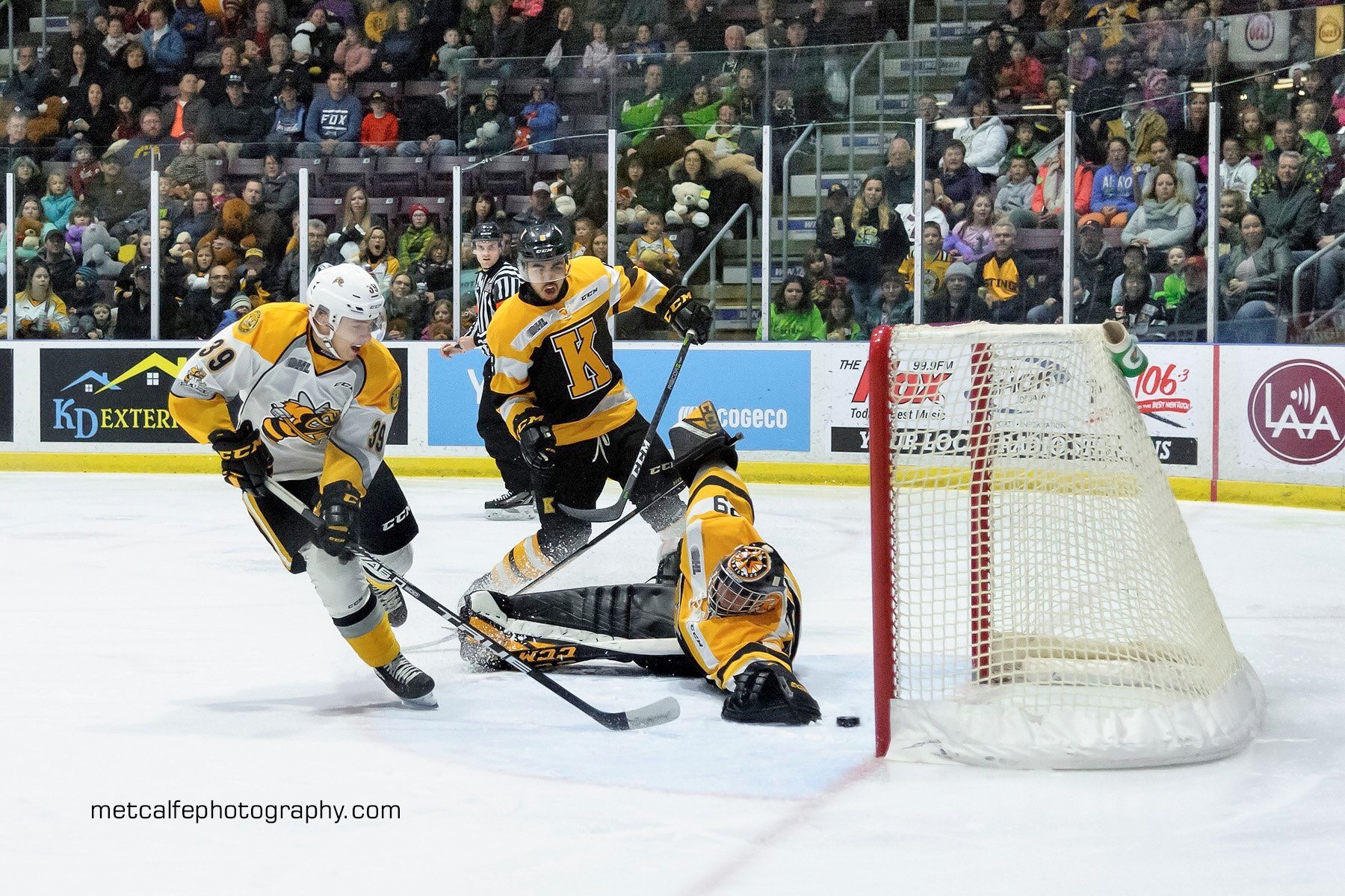 DEC 6 | 22nd Annual Teddy Bear Toss Presented by Lambton Ford is Set ...