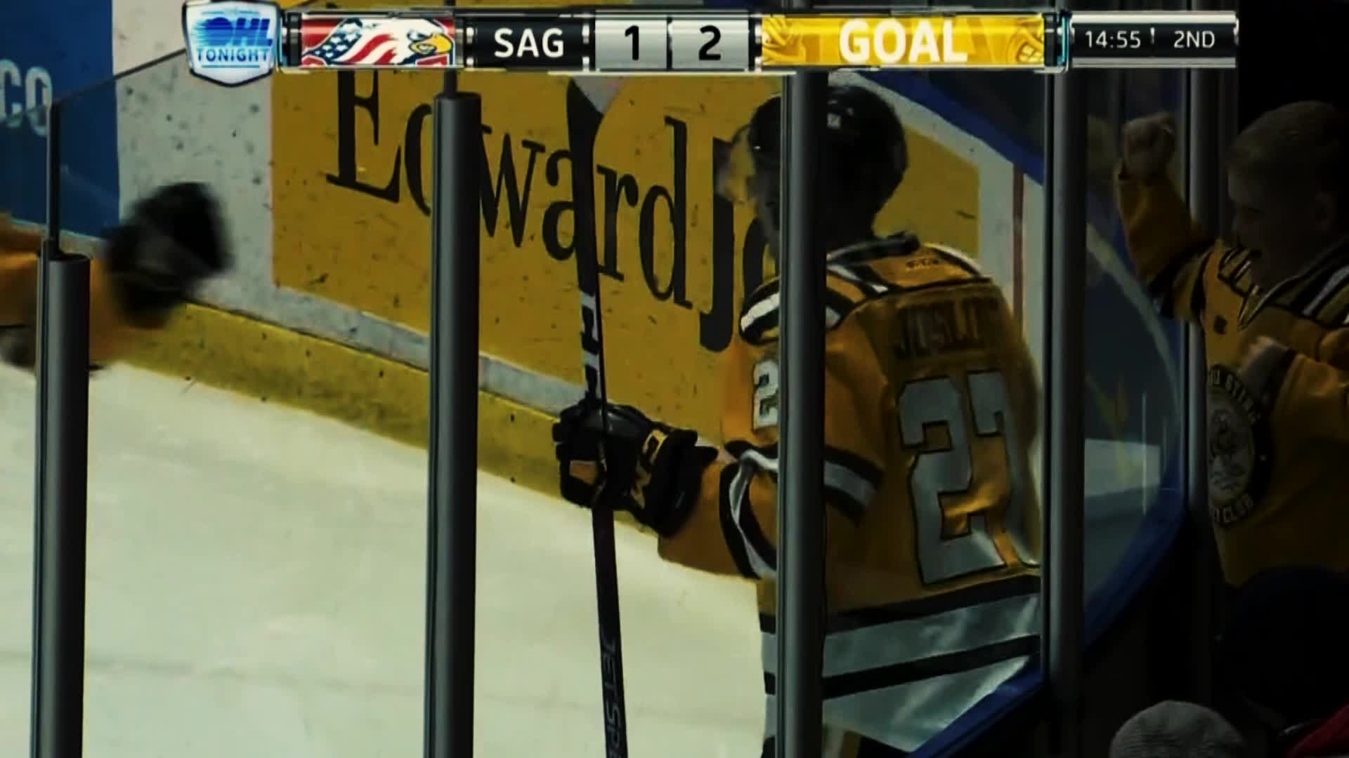 2020 Overage Tribute - Sarnia Sting