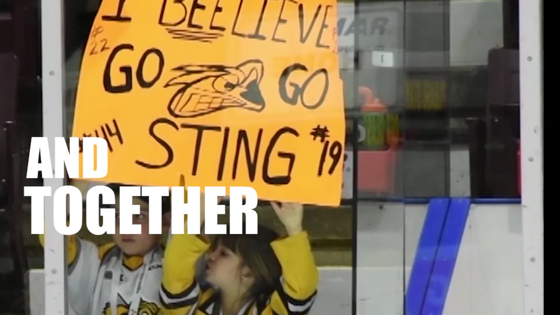 Together we will. - Sarnia Sting