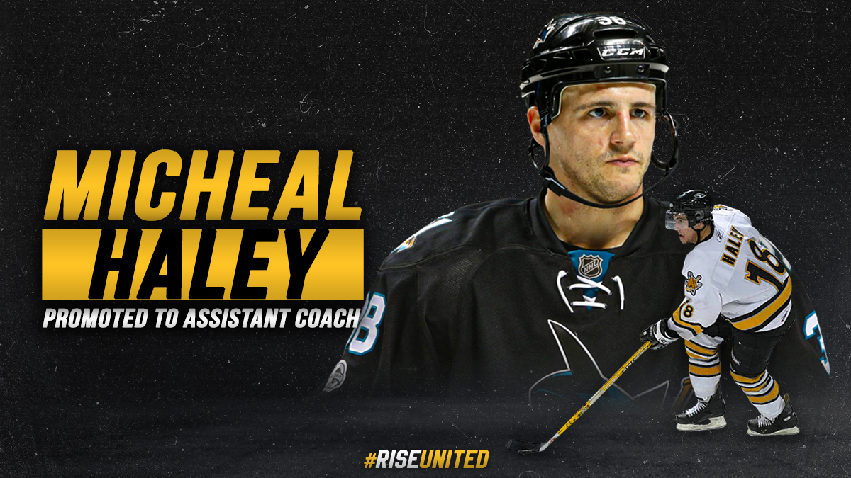 Micheal Haley Named as Addition to 2021-22 Coaching Staff - Sarnia Sting