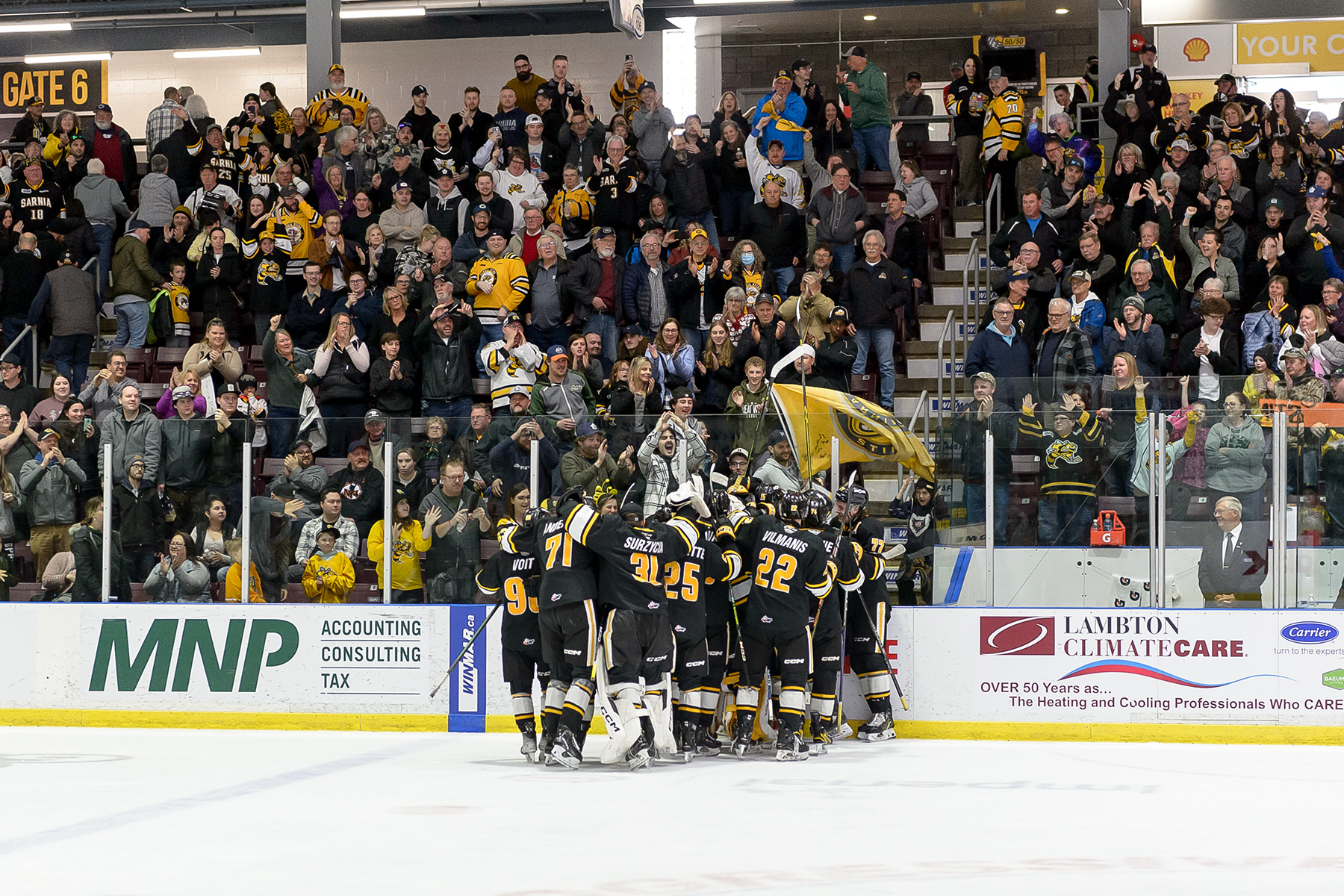 An Open Letter to Sting Nation - Sarnia Sting