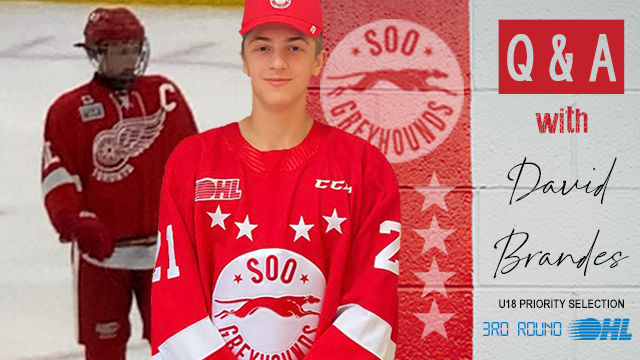 Q&A with David Brandes - Soo Greyhounds