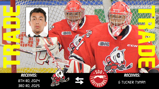 Hounds get older in the crease; Tynan acquired from Niagara - Soo ...