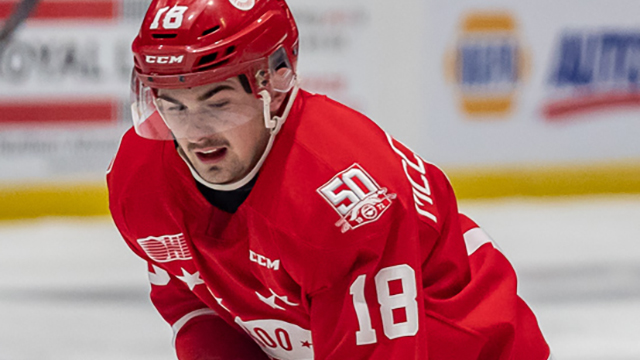 Hounds determined to ‘relish the challenge - Soo Greyhounds