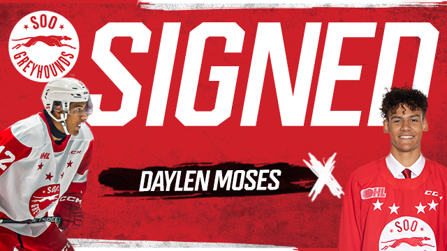 Hounds sign Moses to SPA and Education Package - Soo Greyhounds