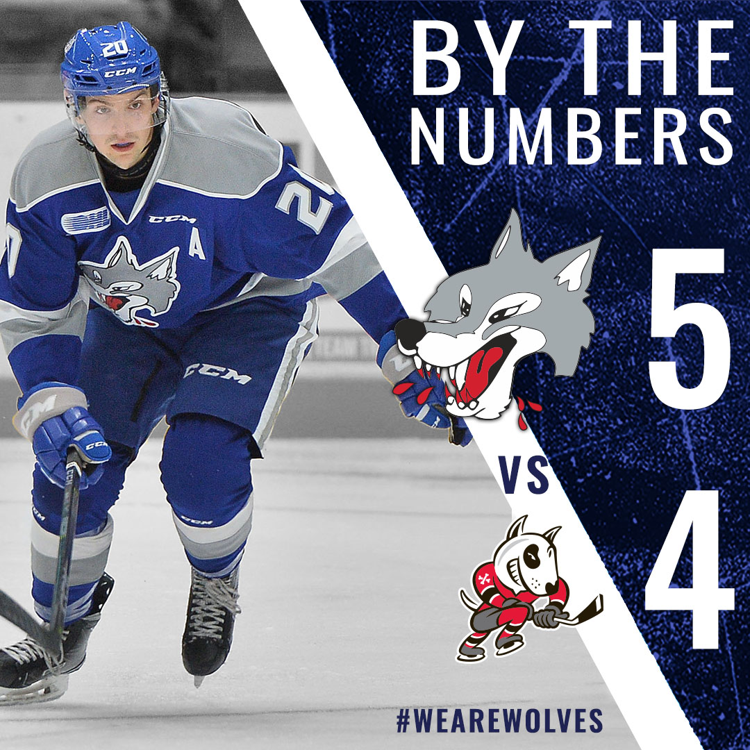 Wolves Have Bigger Bite Against IceDogs - Sudbury Wolves