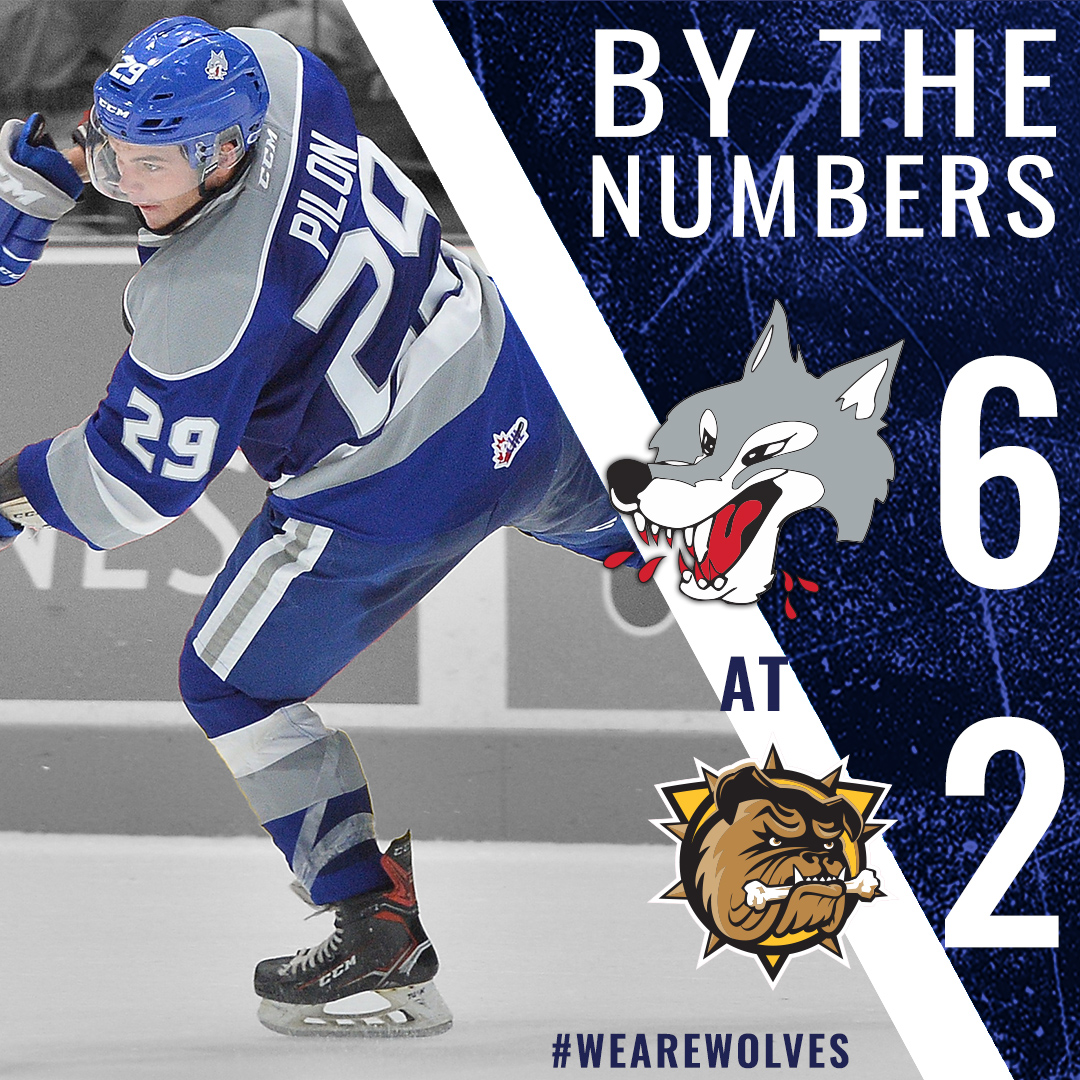 Wolves Win Dog Fight in Hamilton - Sudbury Wolves