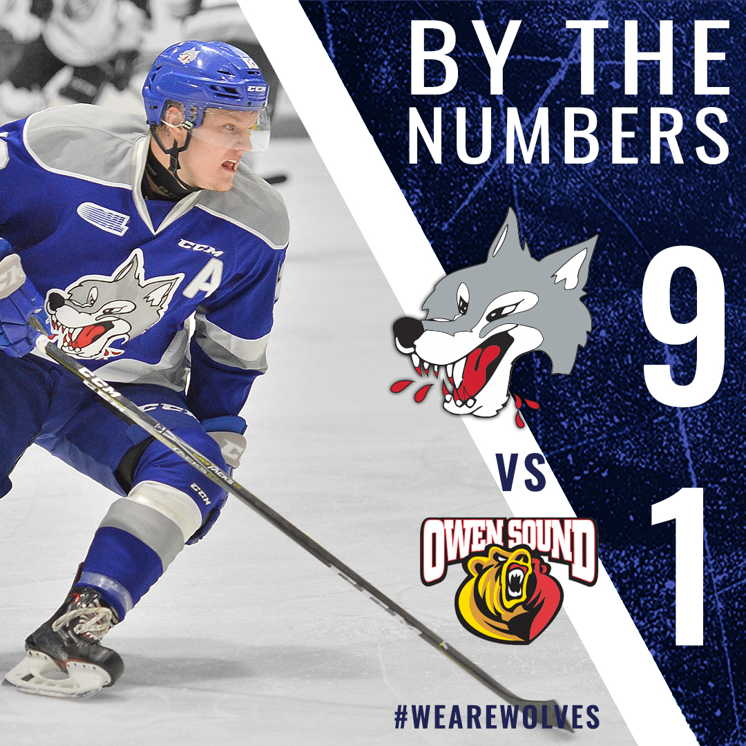 Carson and Bulitka Each Score Two as the Wolves Attack Back - Sudbury ...