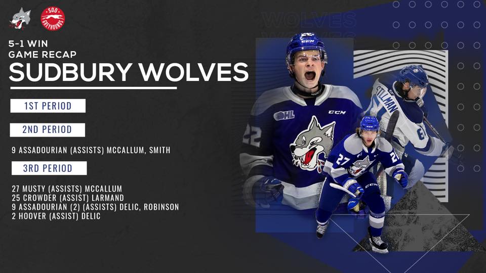 Wolves Remain Undefeated in Pre Season Action - Sudbury Wolves