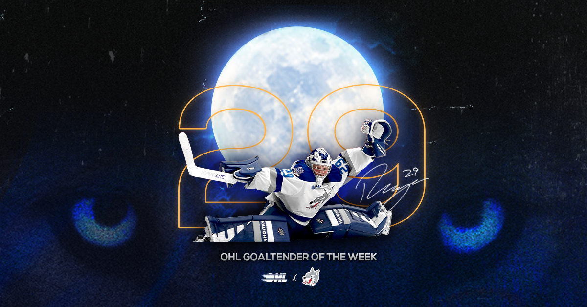 Wolves' Joe Ranger named OHL Goaltender of the Week - Sudbury Wolves