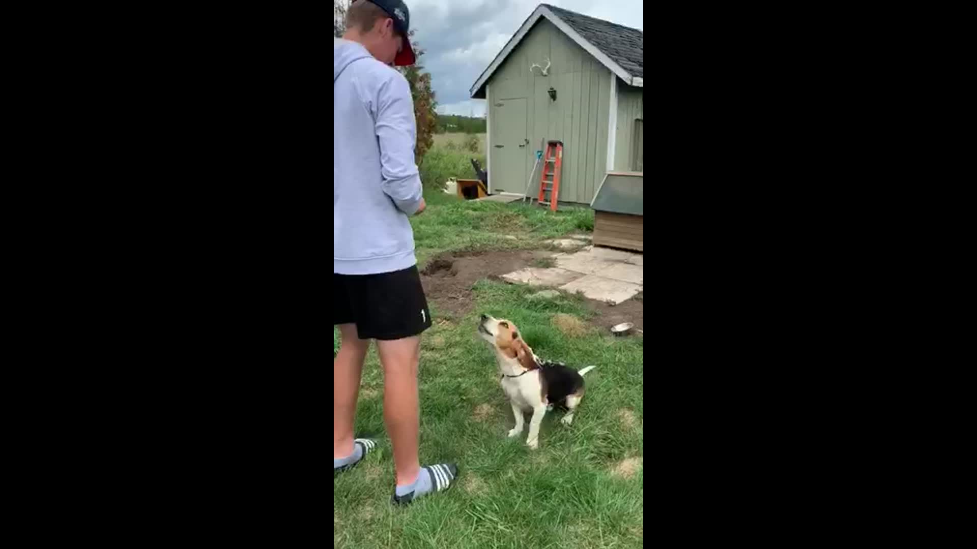 Player and Pet Challenge - Matt Tovell - Windsor Spitfires